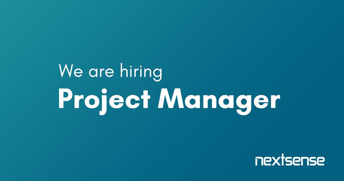 Project Manager